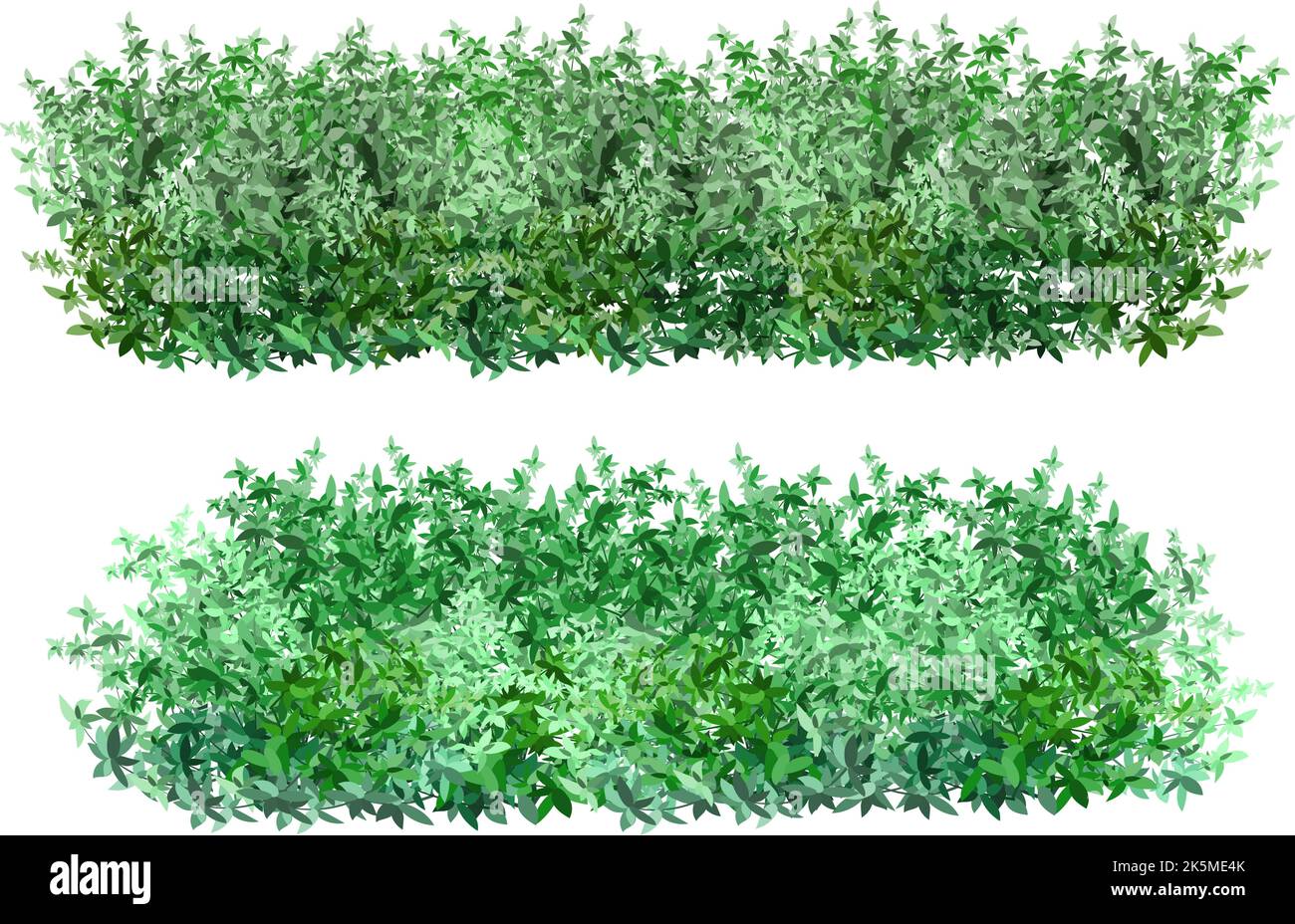 Realistic garden shrub, seasonal bush, boxwood, tree crown bush foliage ...