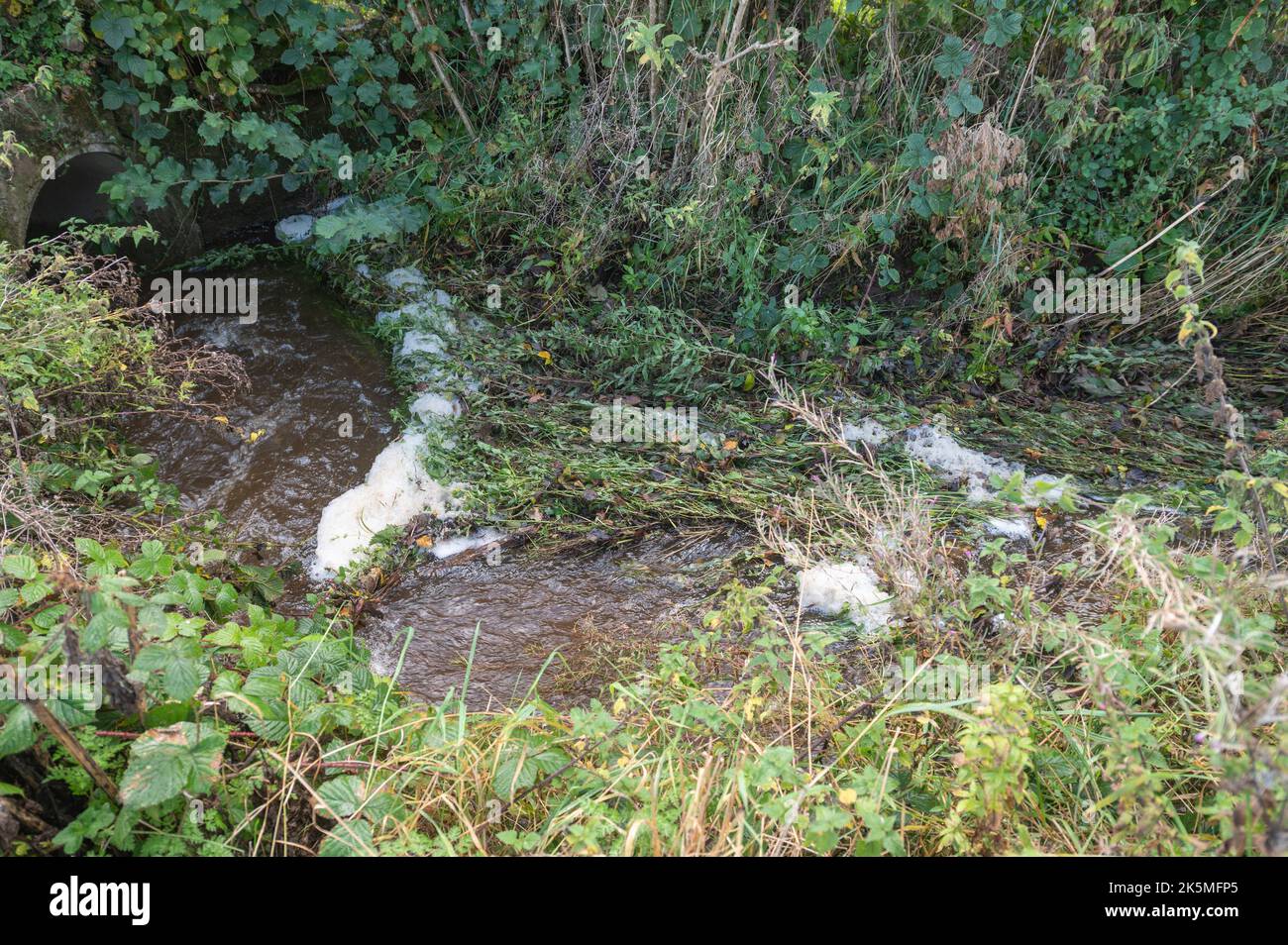 White foam and brown discoloured stream water after a heavy rainfall ...