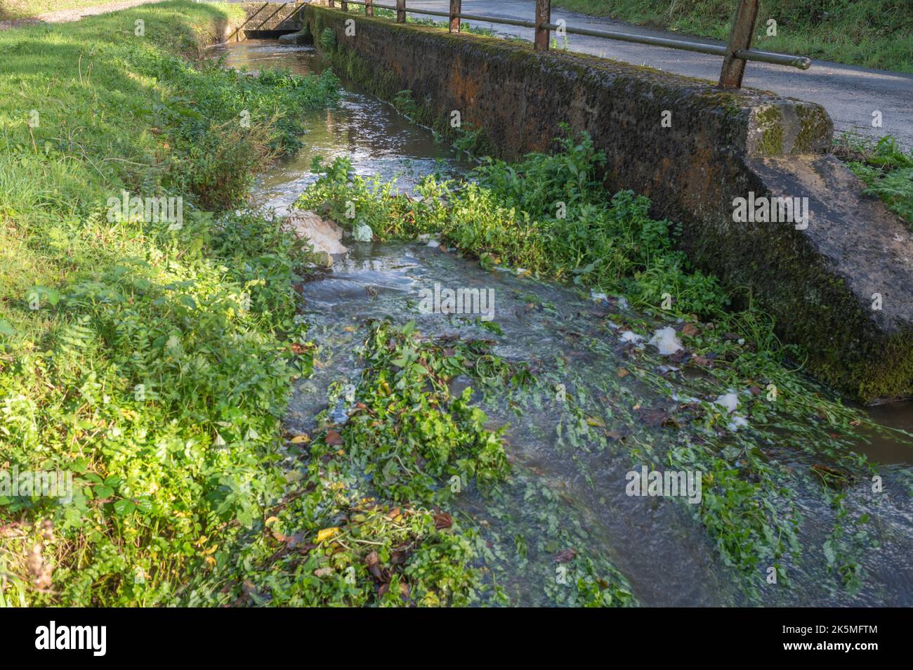 Intensive rainfall hi-res stock photography and images - Alamy