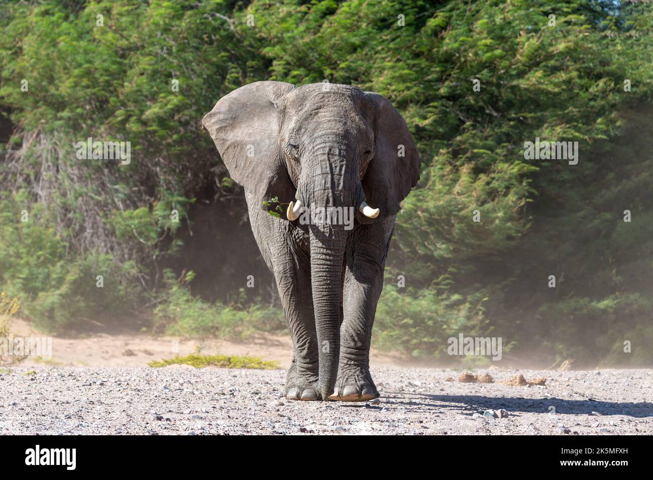 Beautiful view hot air hi-res stock photography and images - Alamy
