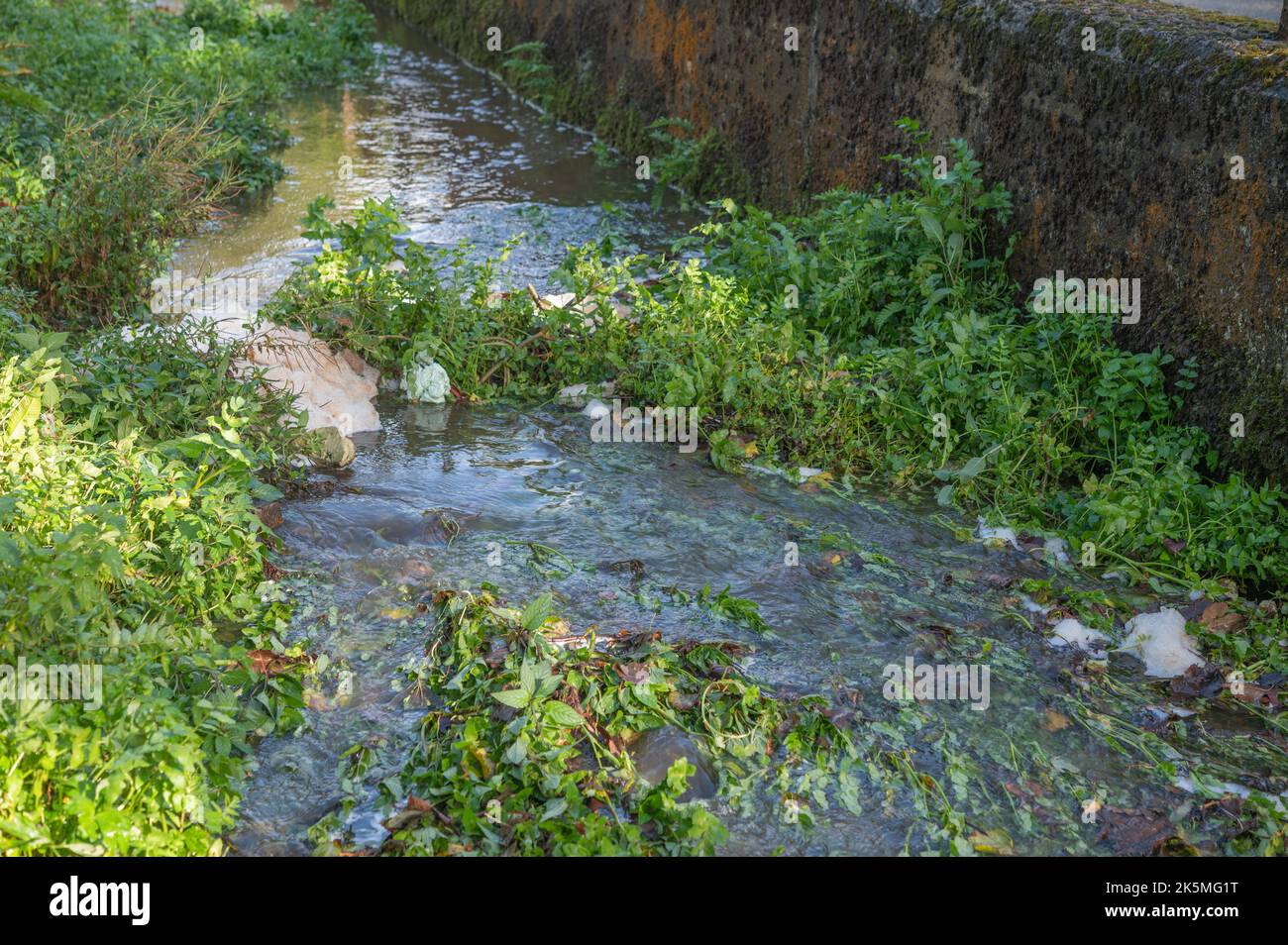 Intensive rainfall hi-res stock photography and images - Alamy