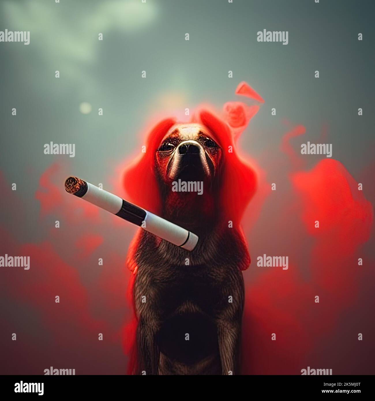 Dog Eats Cigarette Bud at Mitzi Mcclain blog