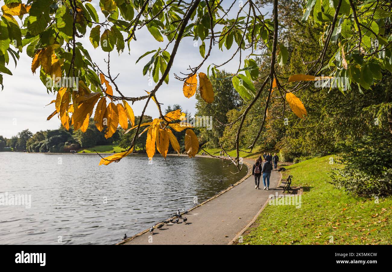 Autumn colours at Sefton Park pictured beside the main lake near ...