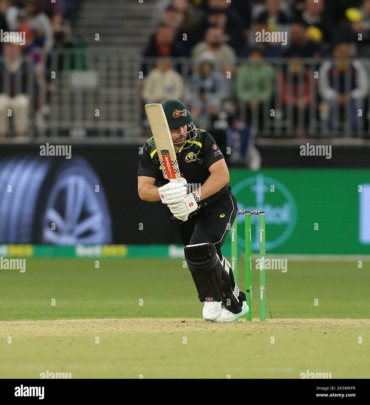 Aaron finch australia t20 hi-res stock photography and images - Alamy