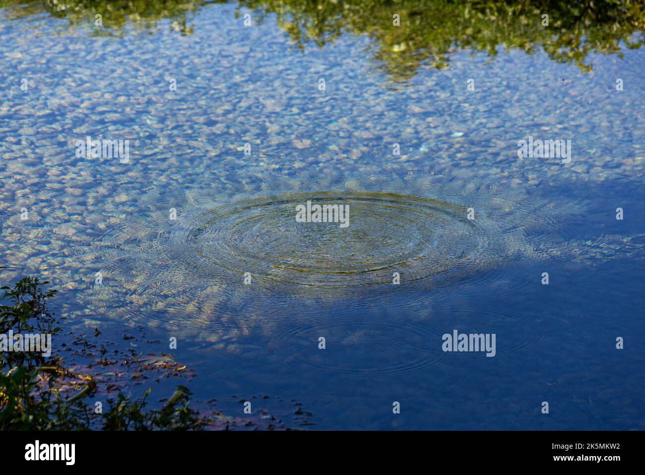 Round droplets of water over circles on the pool water. Water drop ...