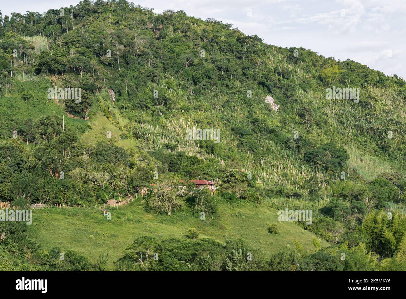 Quinchia hi-res stock photography and images - Alamy