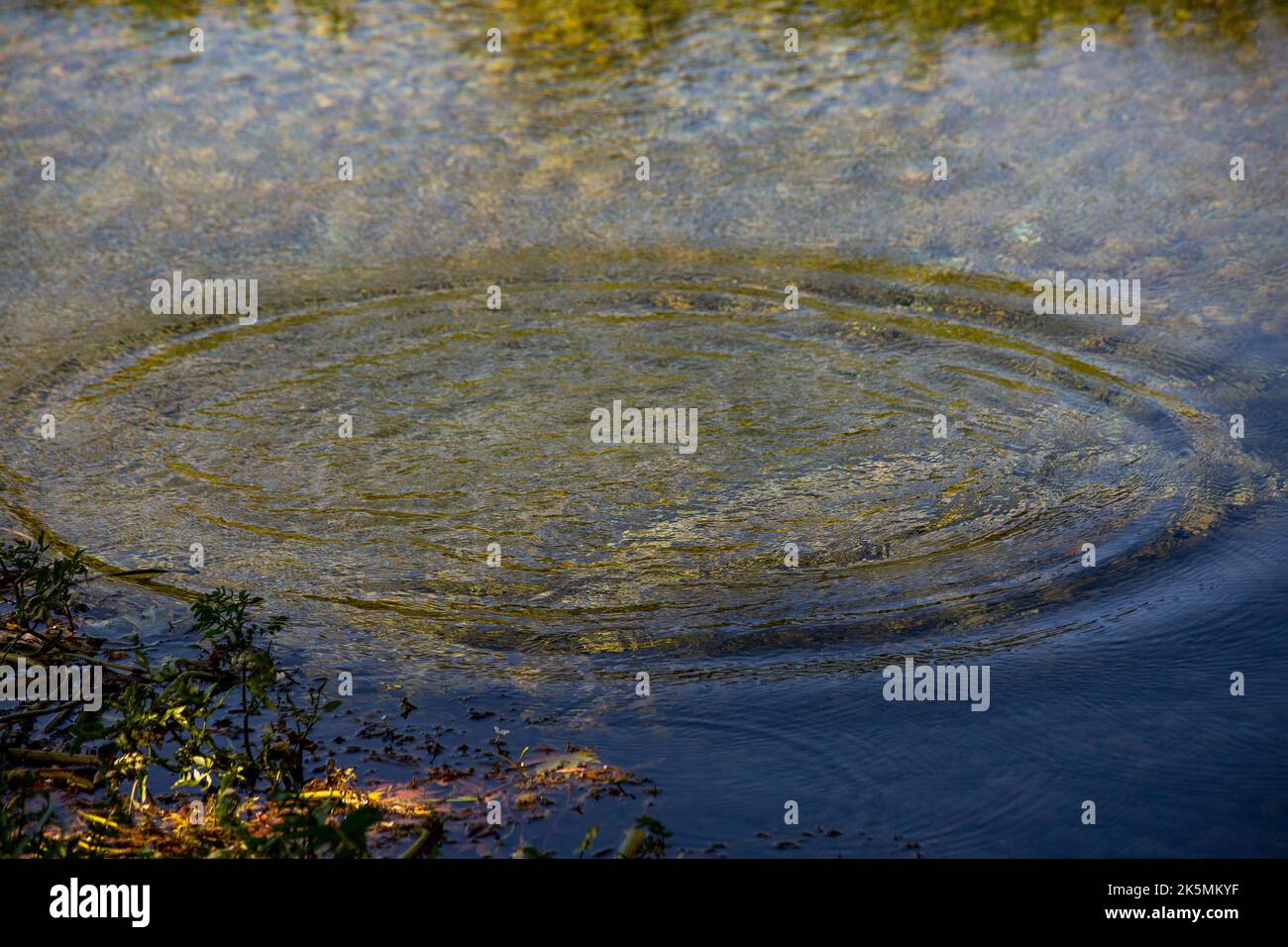 Round droplets of water over circles on the pool water. Water drop ...