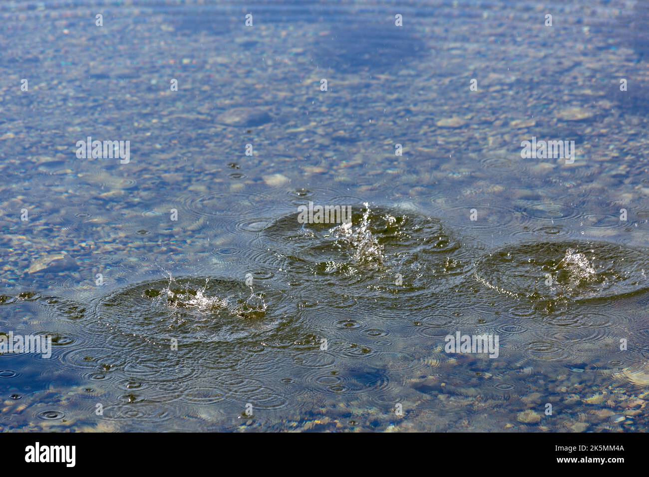 Round droplets of water over circles on the pool water. Water drop ...