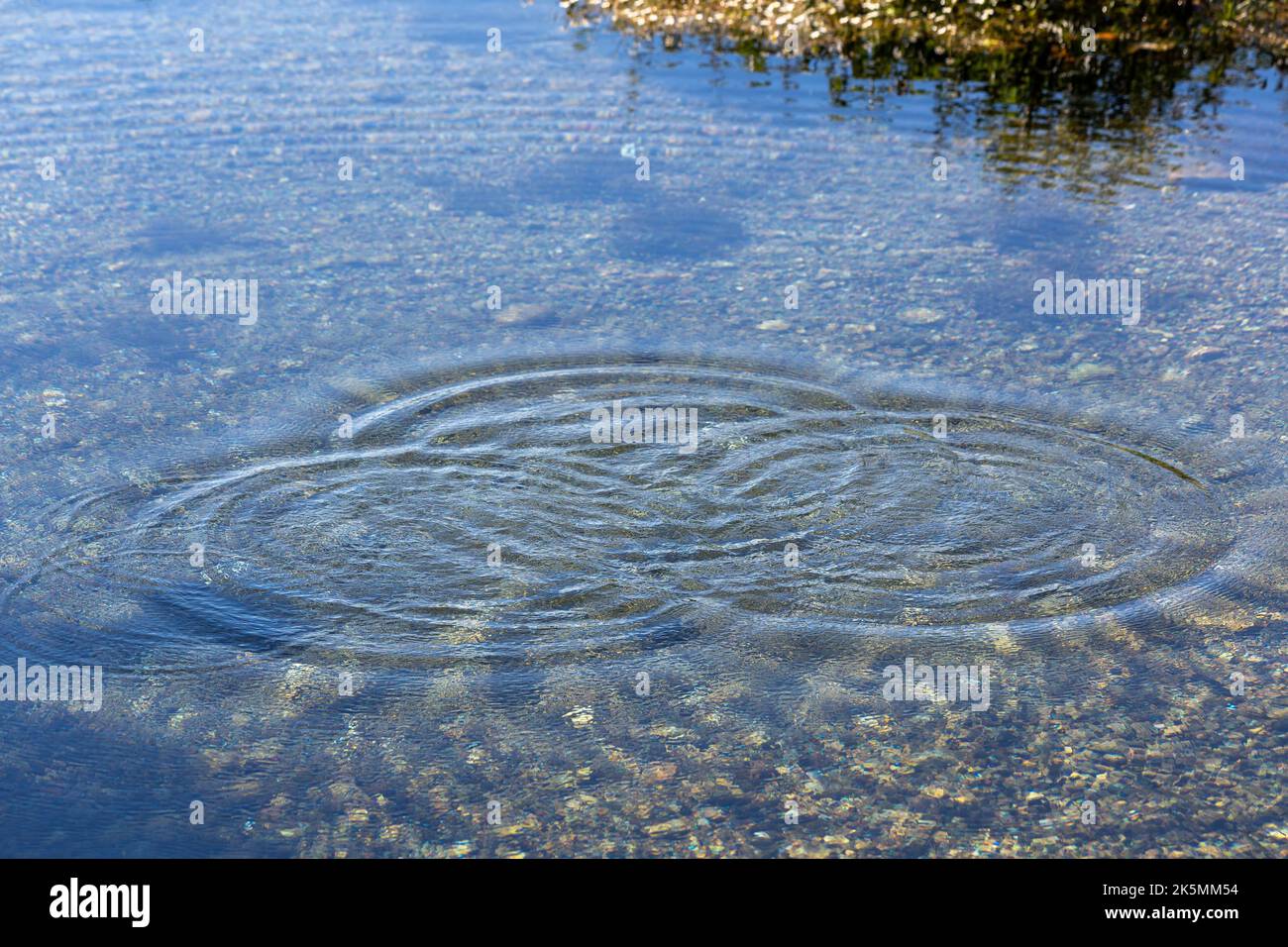 Water ripple pond close up effect hi-res stock photography and images ...