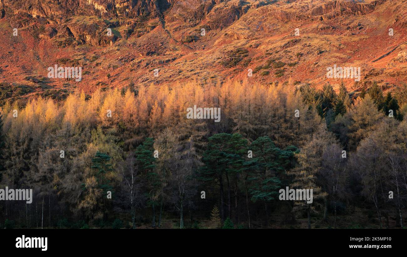 Epic landscape of sunrise light over Blea Tarn in Lake District with ...