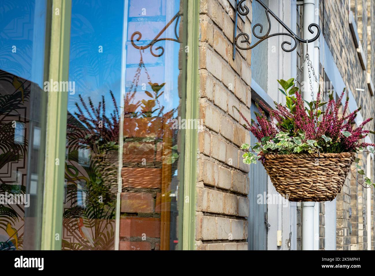 A reflection of a hanging flower basket in a cafe window in Cullercoats ...