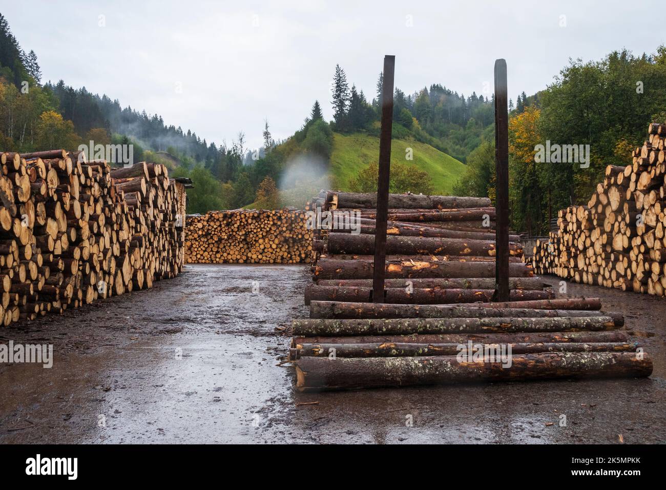 Timber industry austria hi-res stock photography and images - Alamy