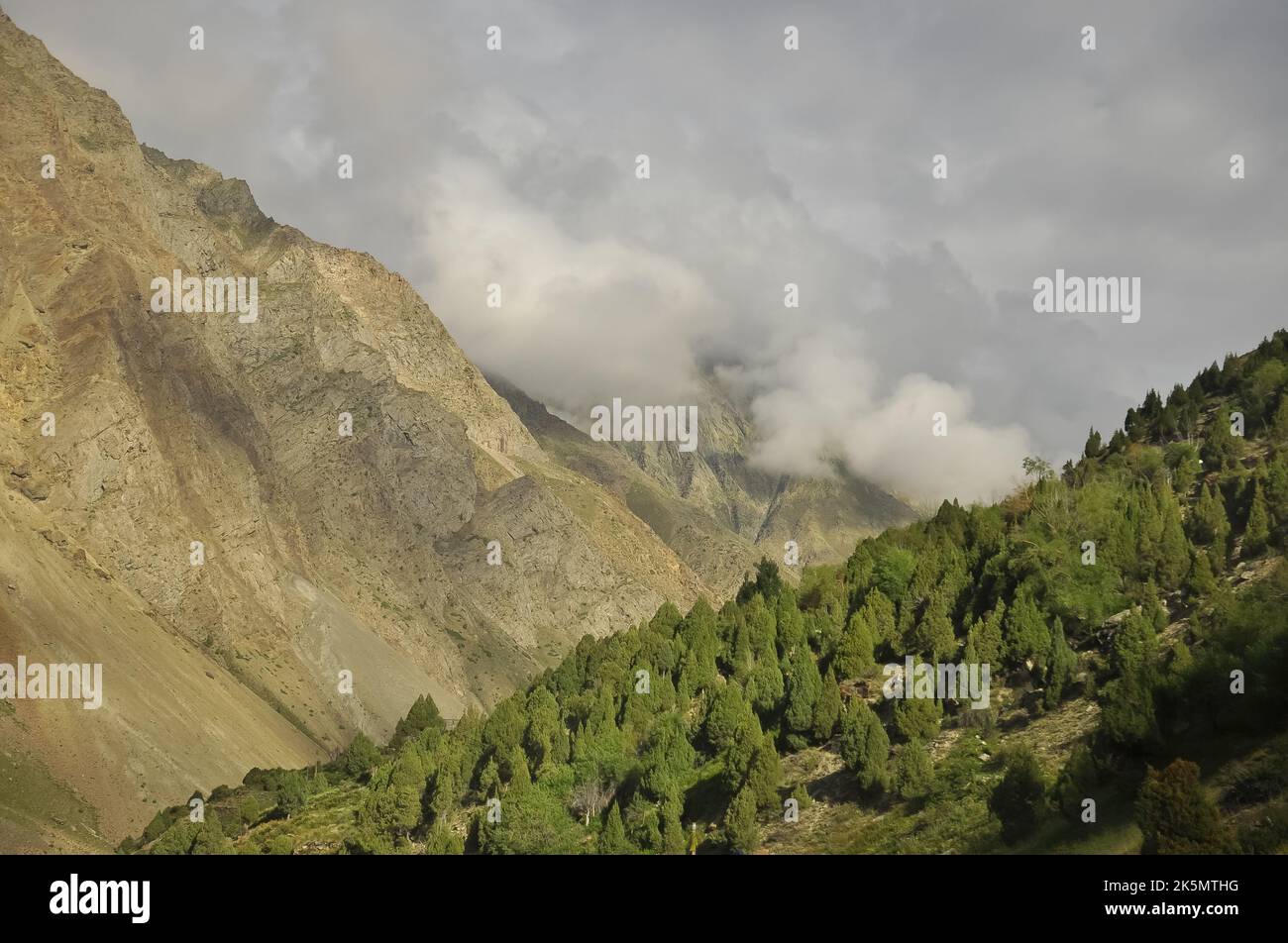 Dry mountain covered with clouds. Combination of dry mountain and green ...