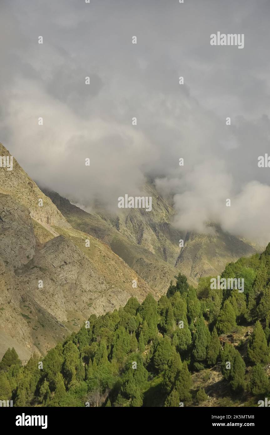 Dry mountain covered with clouds. Combination of dry mountain and green ...