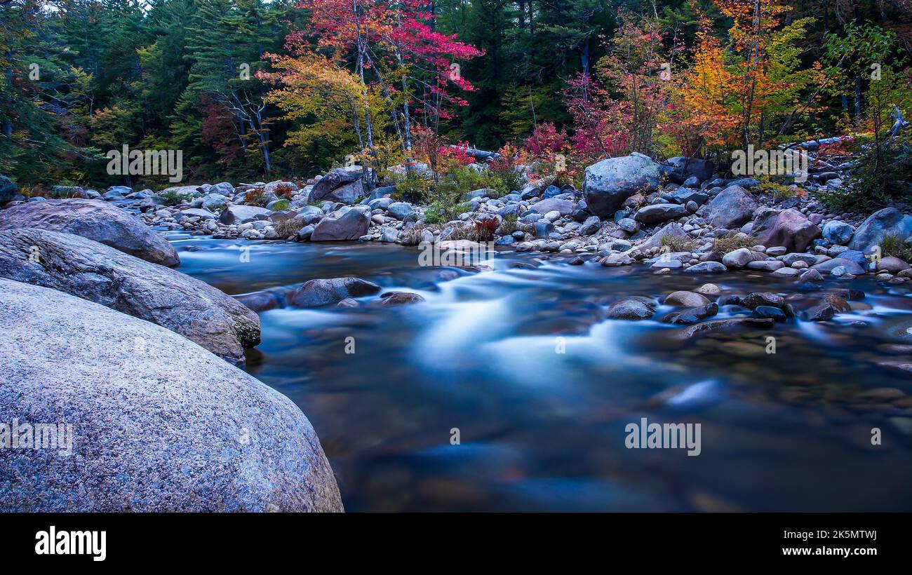 Swift River with morning lights and foliage colors in October Stock ...
