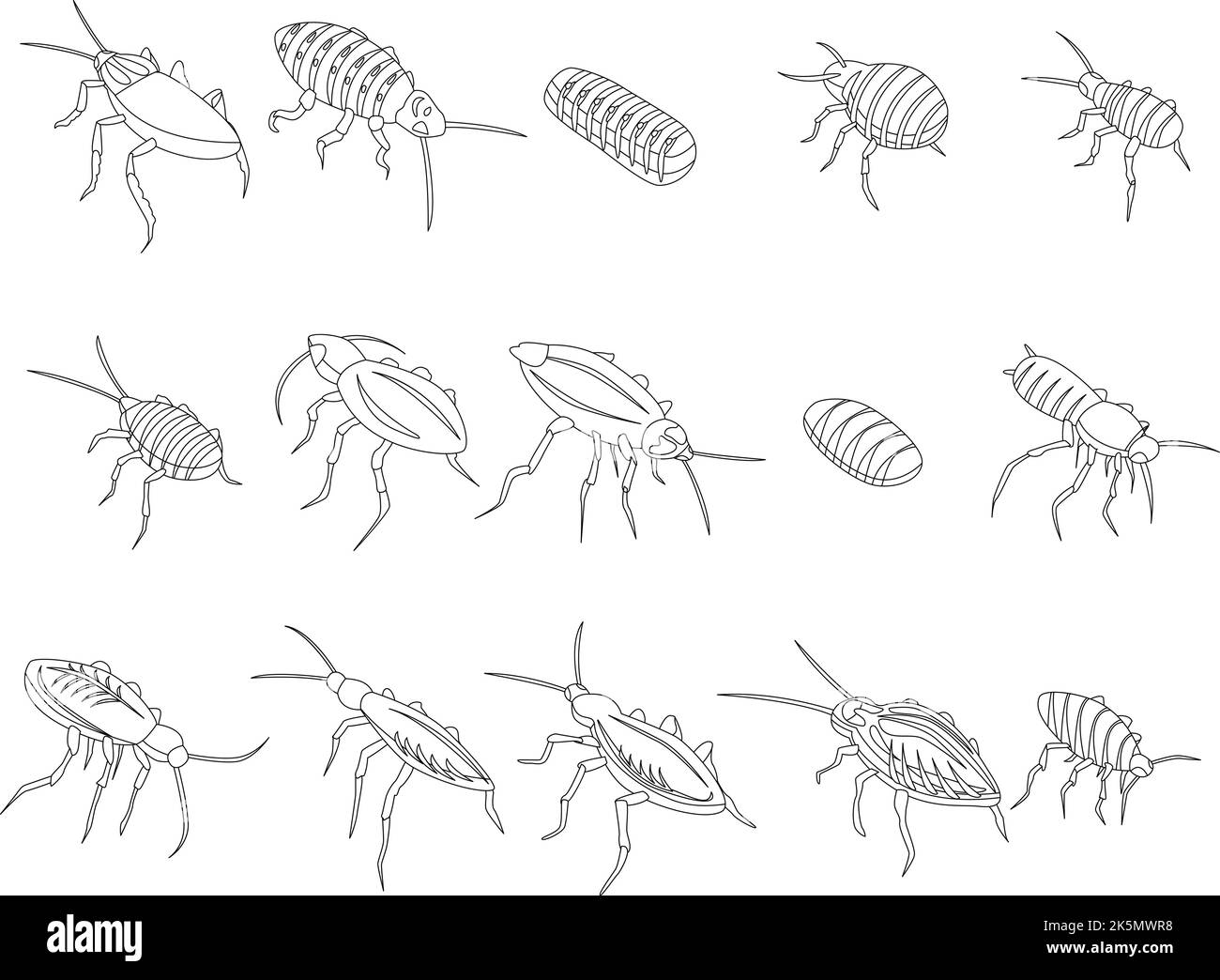 Cockroach icons set. Isometric set of cockroach vector icons outline ...