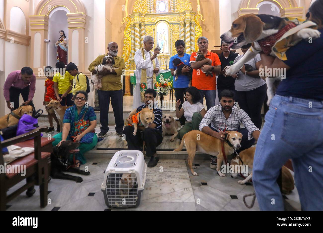 Mumbai, Maharashtra, India. 9th Oct, 2022. People hold their pets while ...