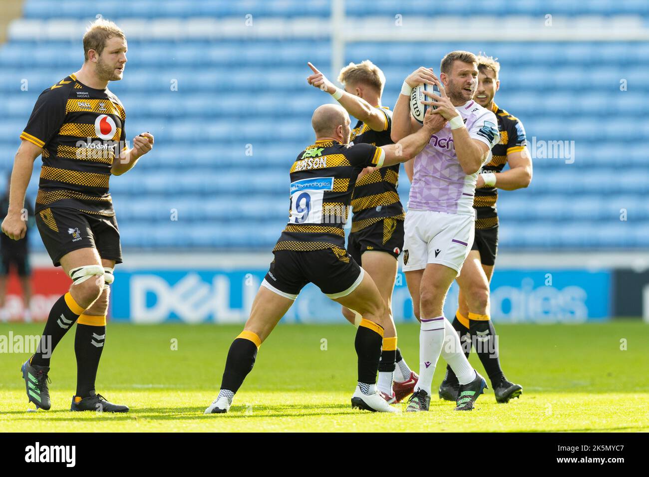 Dan robson wasps 2022 hi-res stock photography and images - Alamy