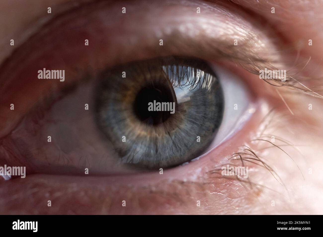 A selective focus of a beautiful blue eye of a human with light skin ...