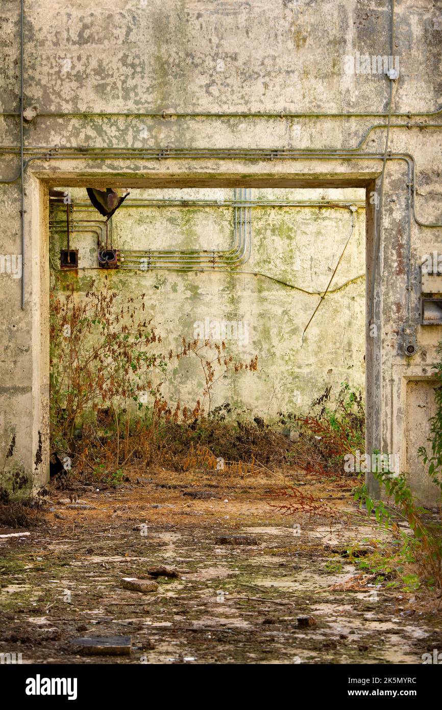 Inside "Laboratory 1", a building for the environmental testing of ...