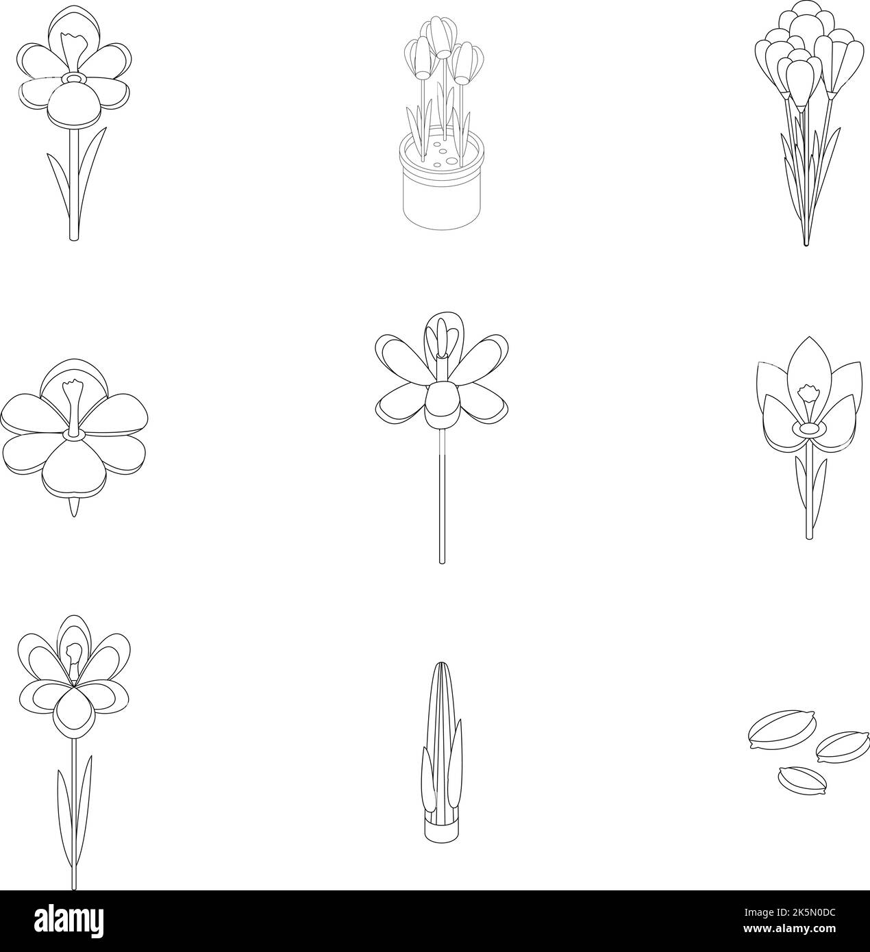 Crocus icons set. Isometric set of crocus vector icons outline thin lne ...