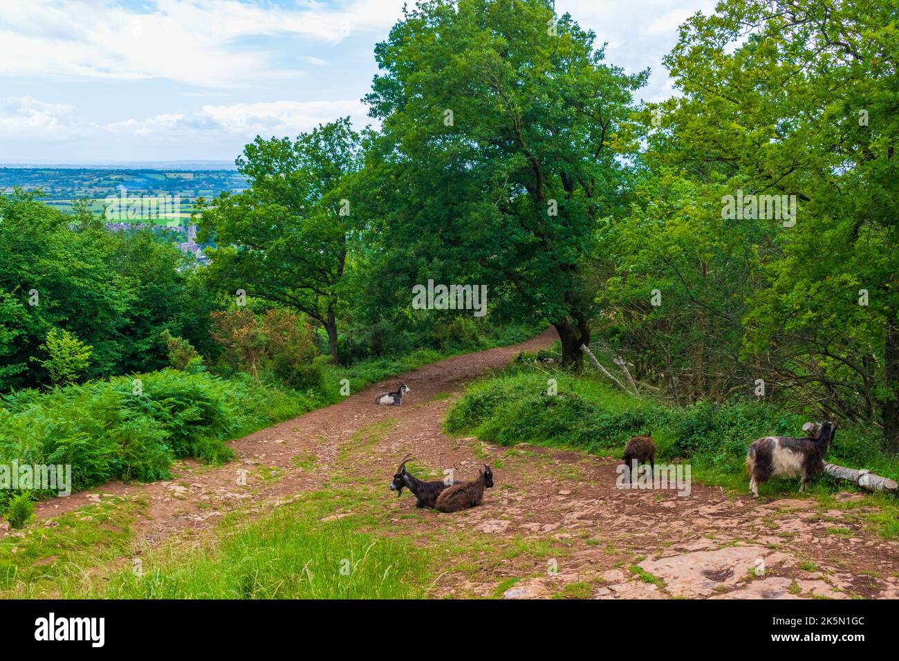 Cheddar Gorge is not only one of Britain's most spectacular natural ...
