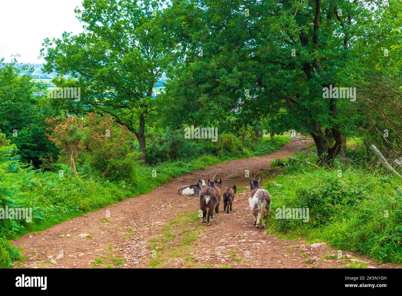 Cheddar Gorge is not only one of Britain's most spectacular natural ...