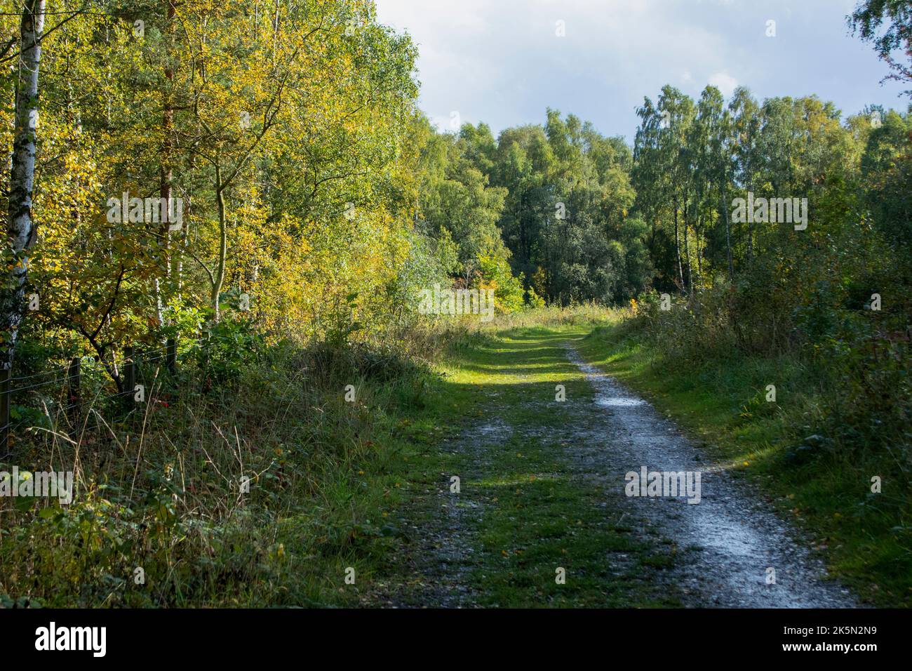 Footpath in nature reserve in early autumn sunshine Stock Photo - Alamy
