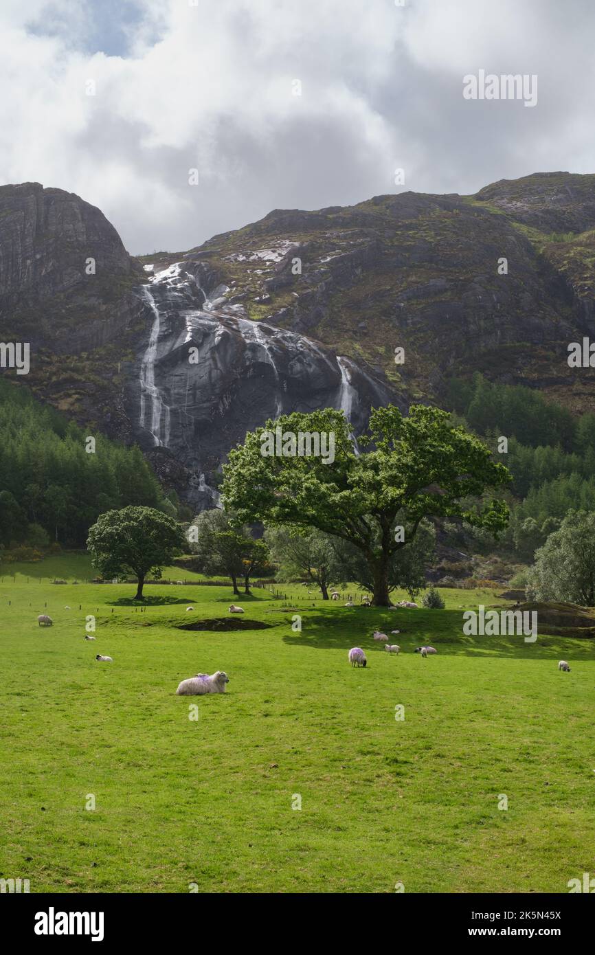 Ireland, Kenmare - 19 05 2022: Gleninchaquin park is a family owned ...