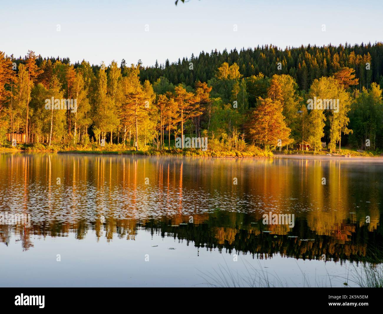 The forest and its reflection in a misty lake after summer rain during ...