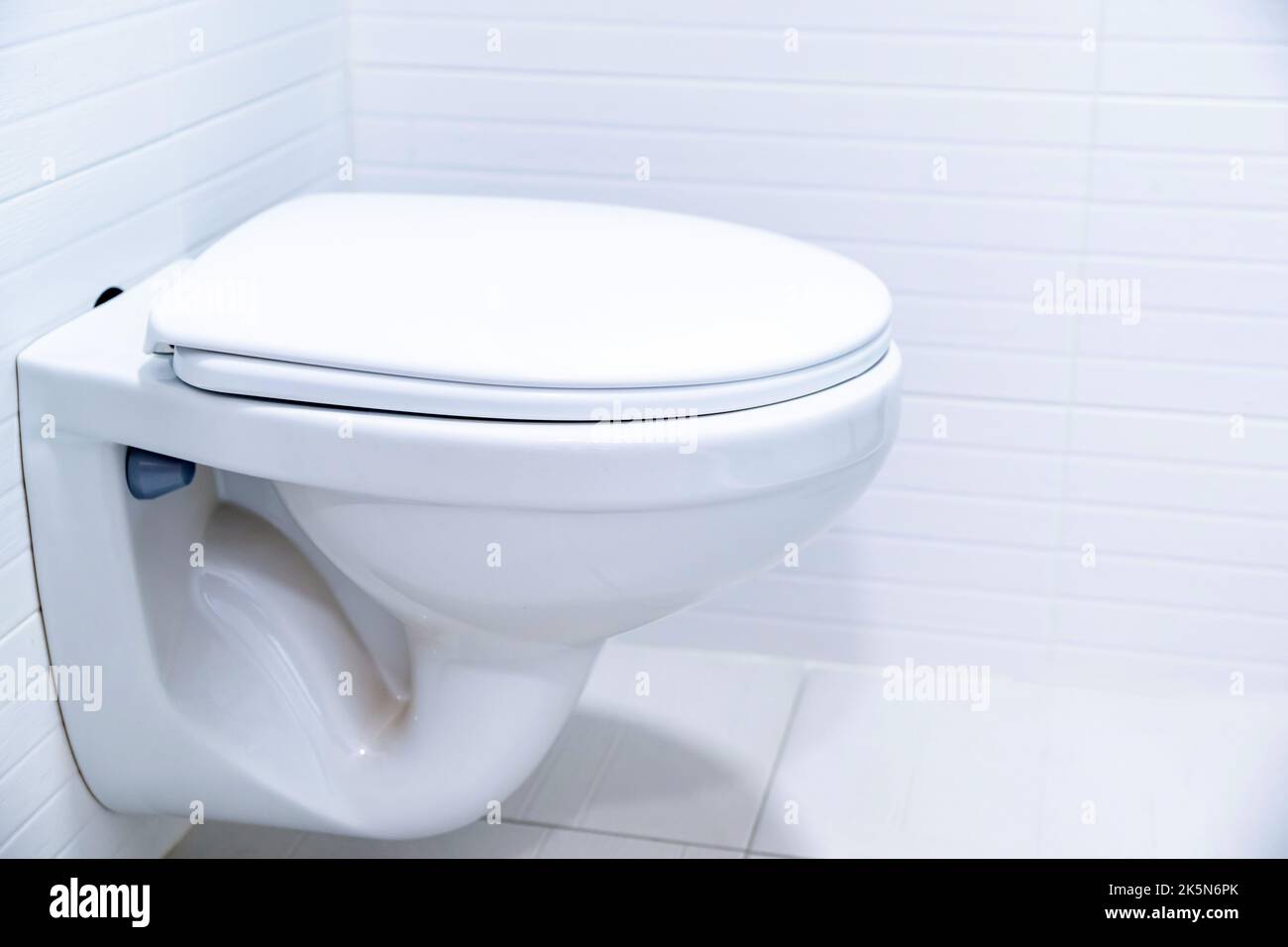 Modern flush toilet bowl at WC or water closet Stock Photo - Alamy