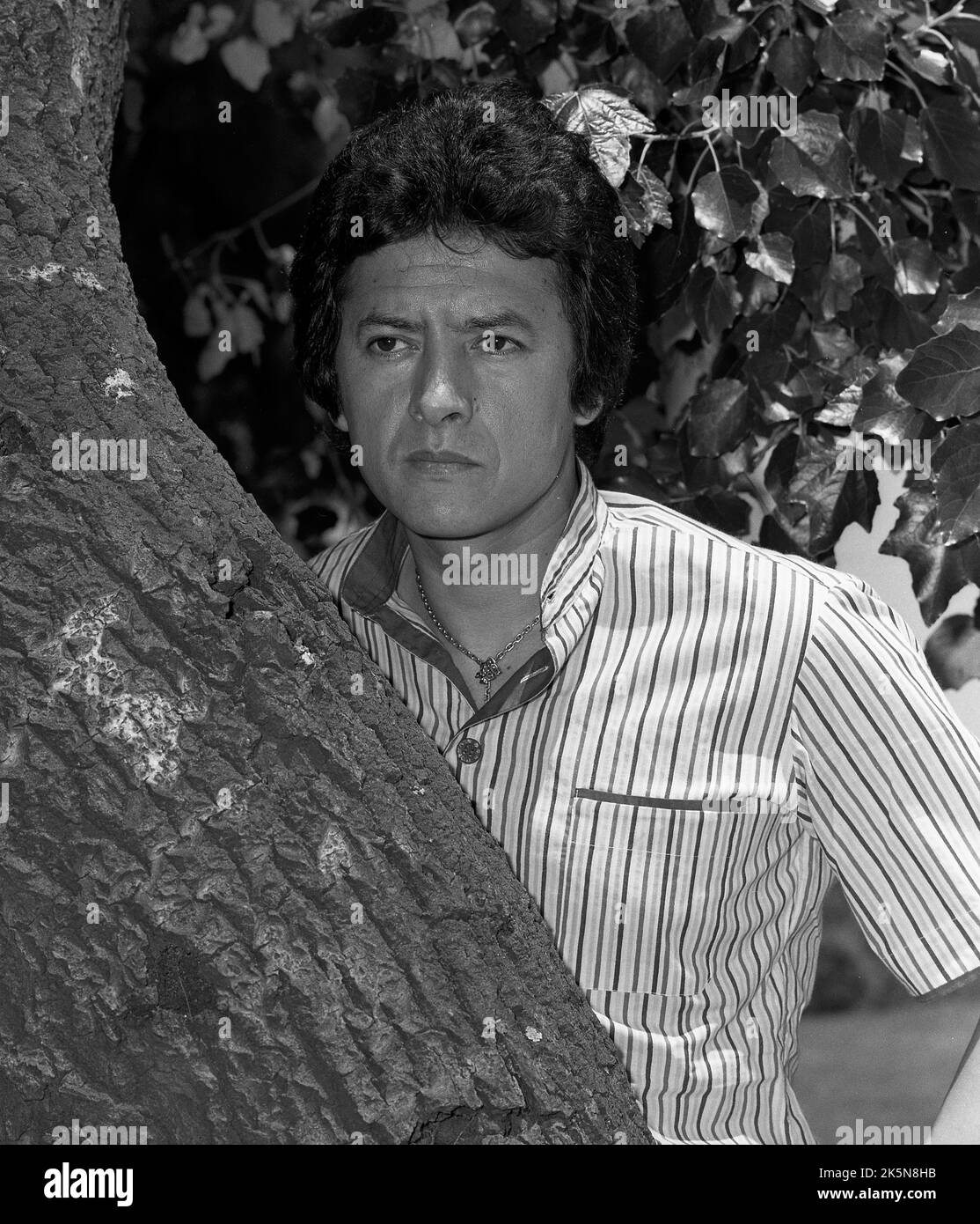 Palito Black and White Stock Photos & Images - Alamy