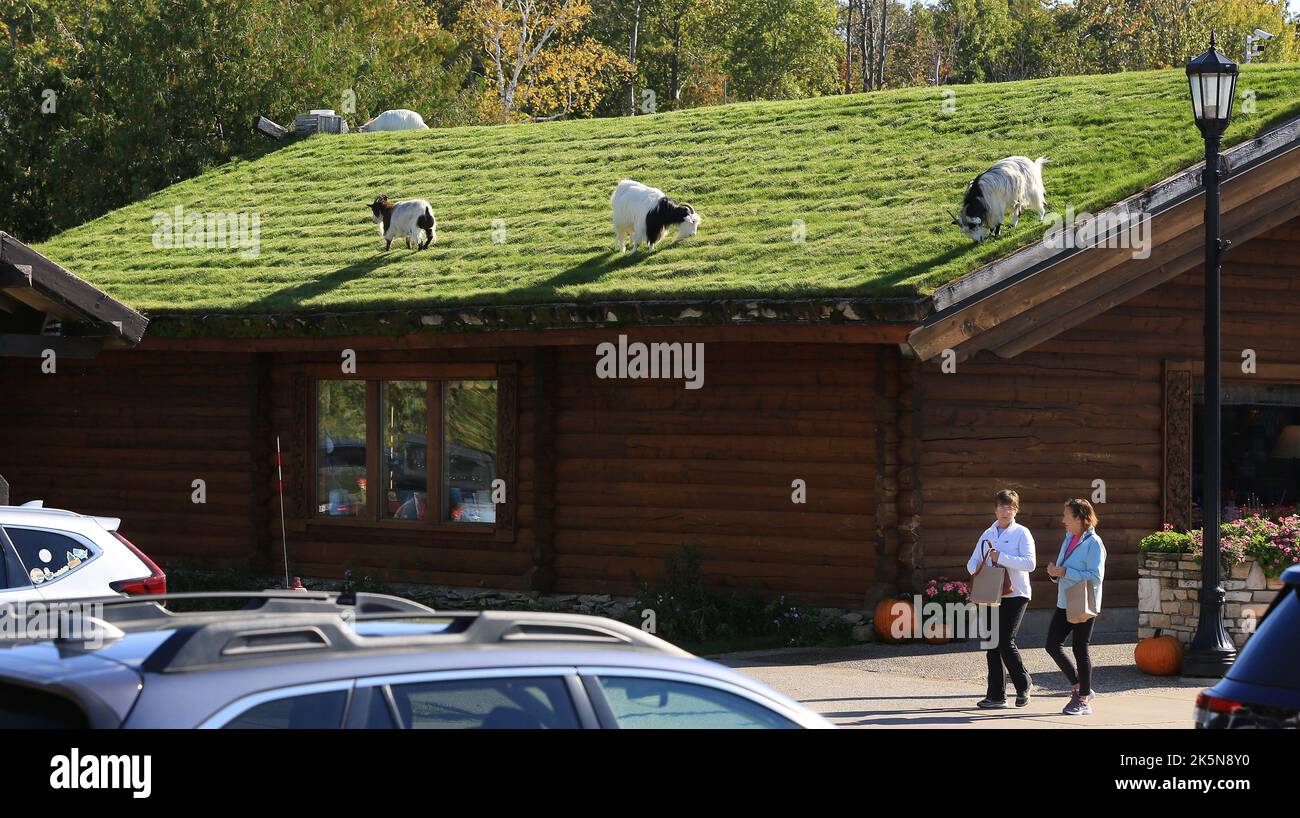 Al johnson’s swedish restaurant hi-res stock photography and images - Alamy