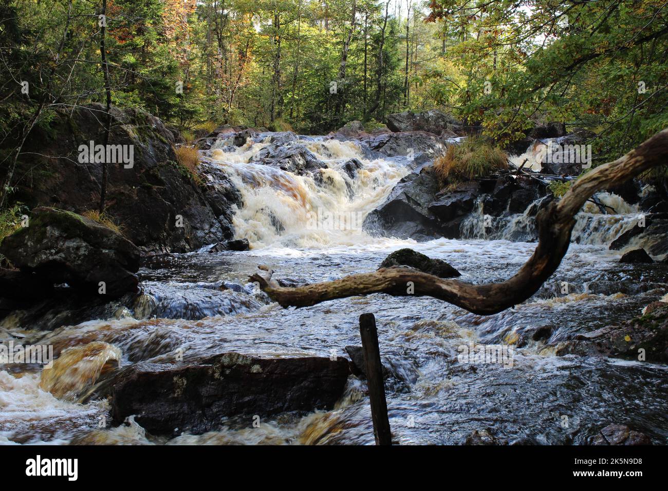 A water stream of danska Fall Nature reserve with greenery, rocks and ...