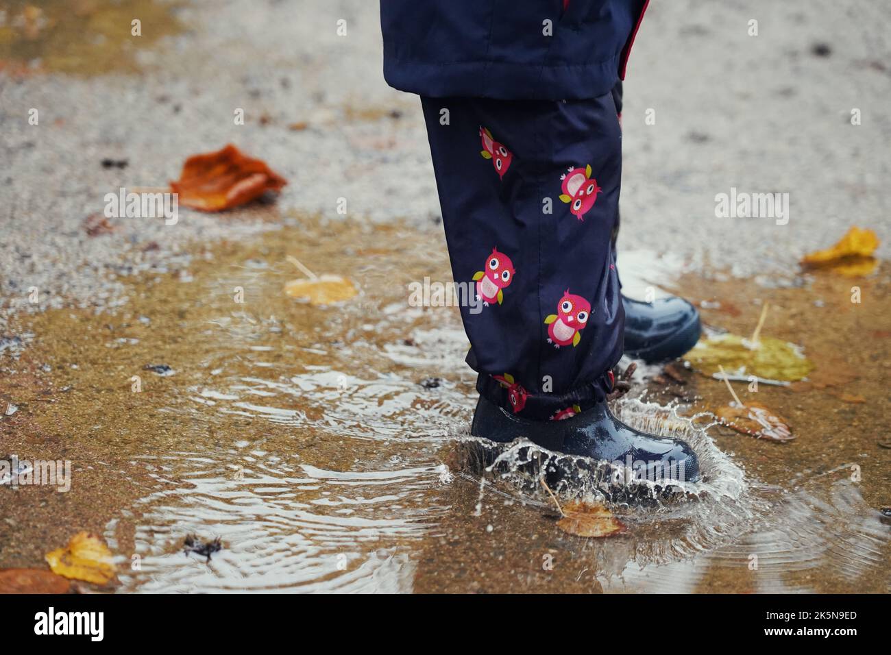 A child jumping into rain puddle in autumn Stock Photo - Alamy