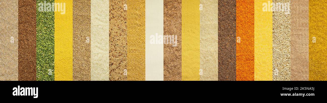 Various grain cereals banner, top view, wheat and oats, rice and peas ...