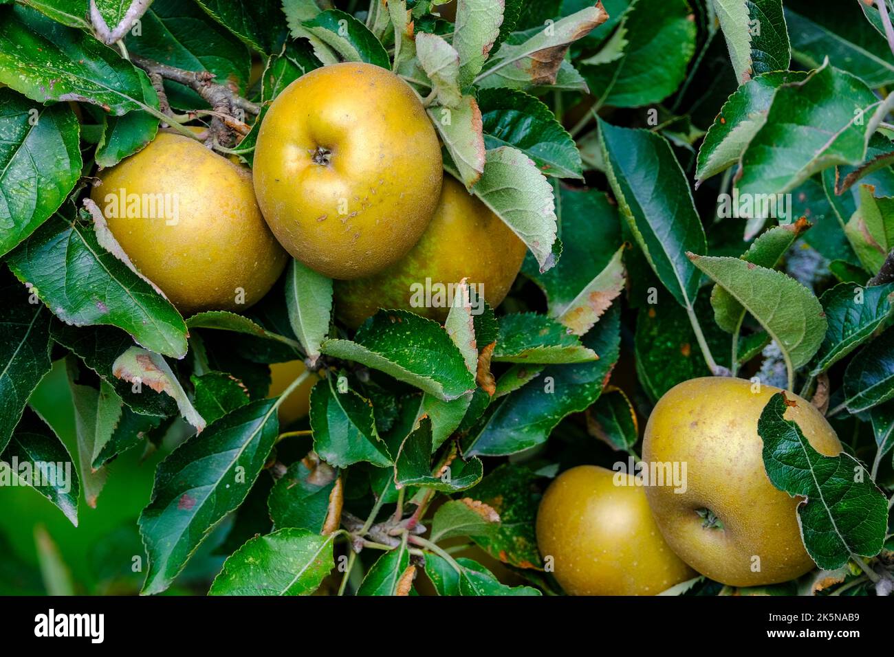 18 09 2022 hi-res stock photography and images - Alamy