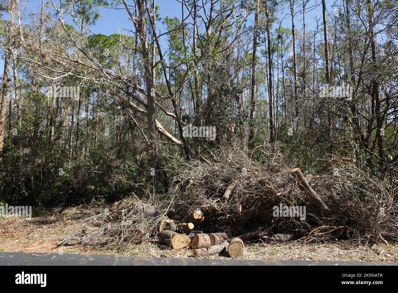 Brush, limbs and branches downed by Hurricane Ian lay along side of ...