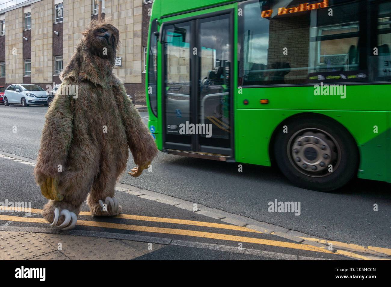 Sloth suit hi-res stock photography and images - Alamy