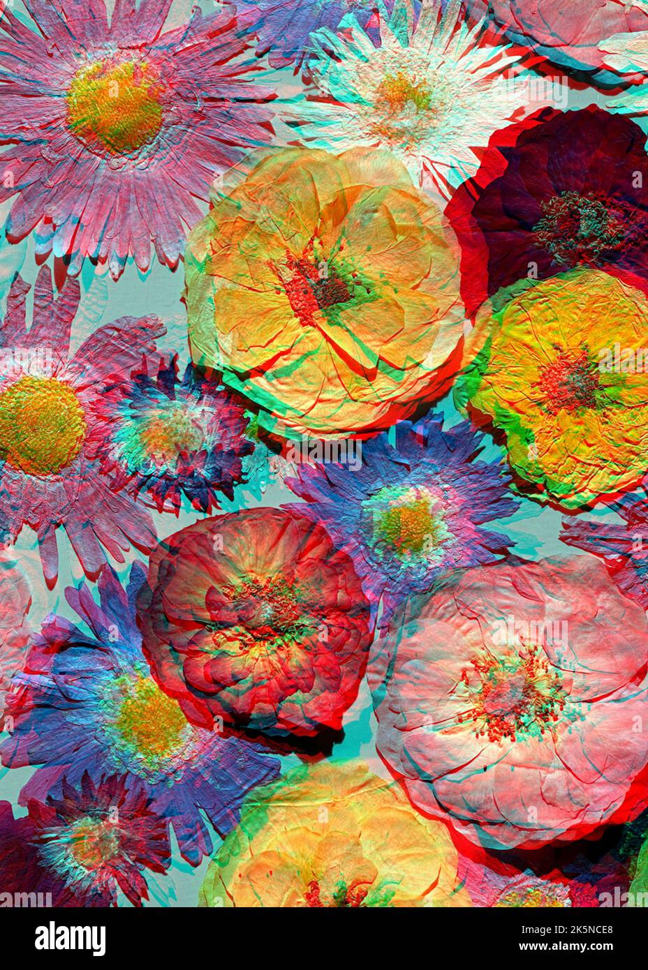 Out Of Focus a group of various dried pressed flowers. Print textile ...