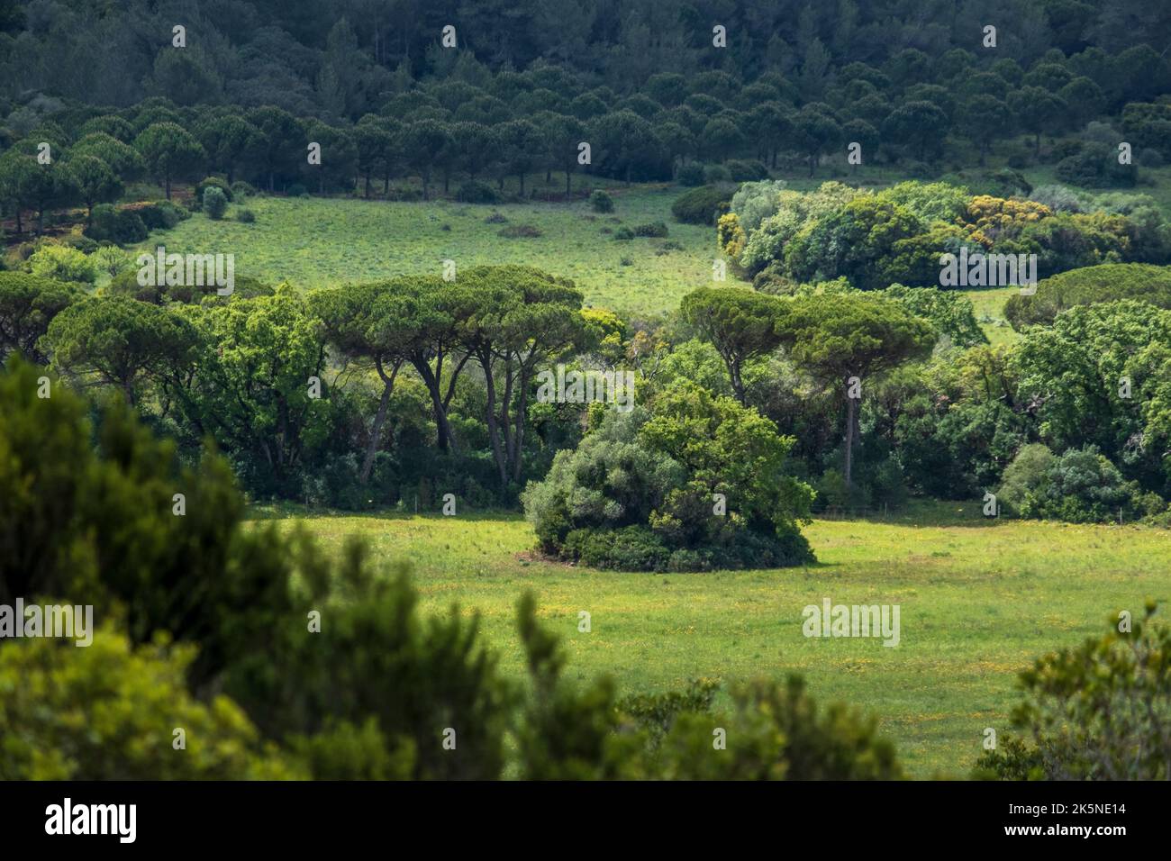 Parque natural portugal hi-res stock photography and images - Alamy