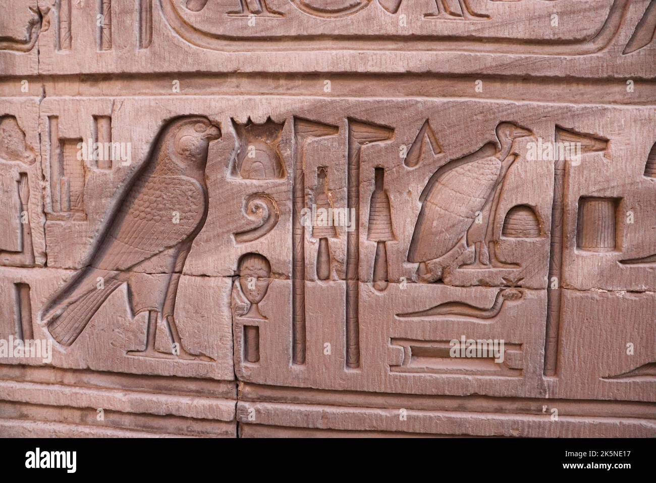pharaonic symbols and hieroglyphs at Kom Ombo temple Stock Photo - Alamy
