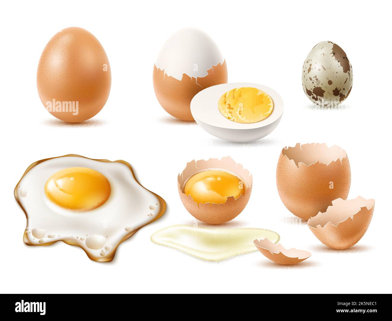 Realistic eggs. Raw and fried natural diet product, 3d chicken and ...