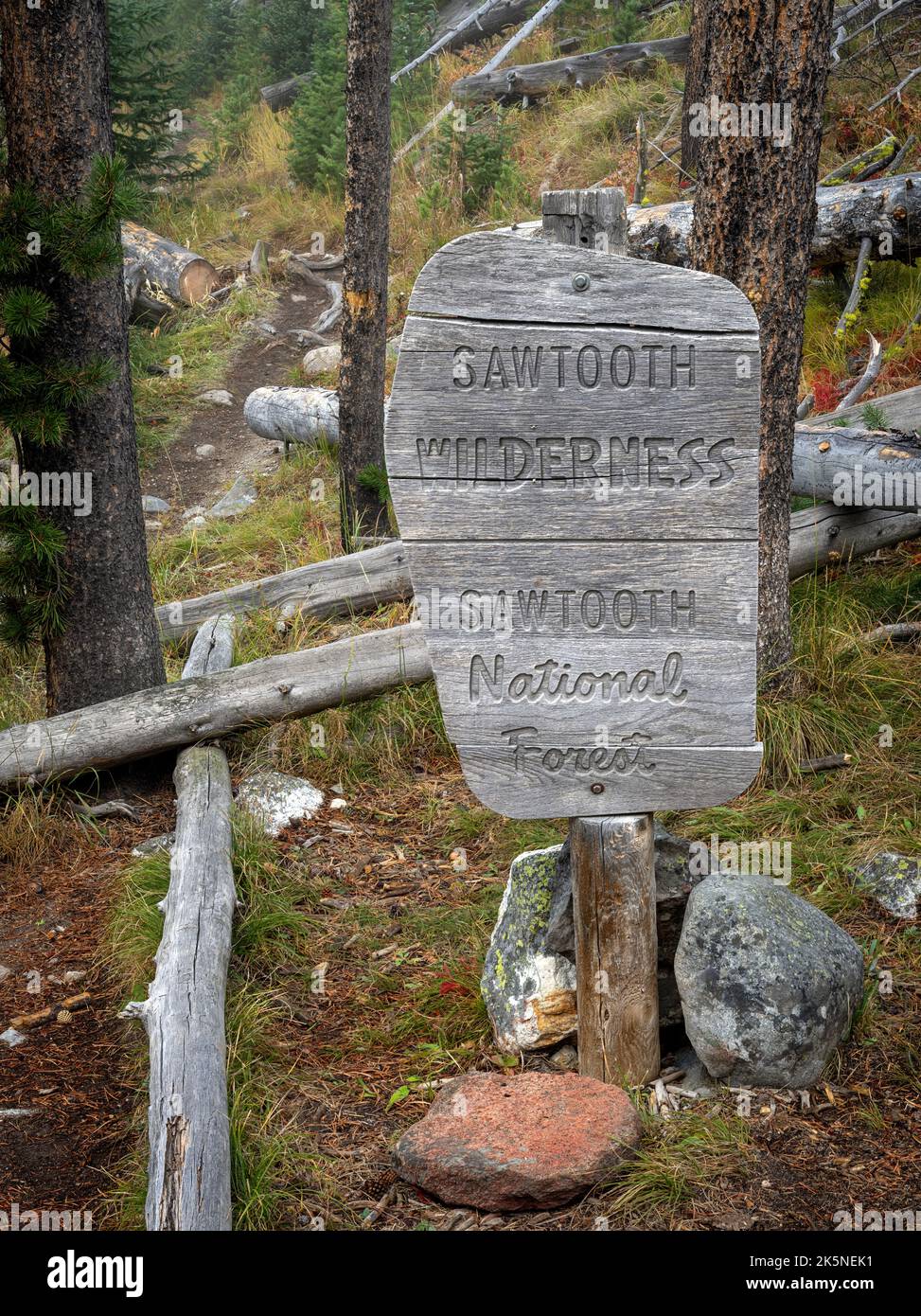 Sawtooth National forest wood sign in the woods Stock Photo - Alamy