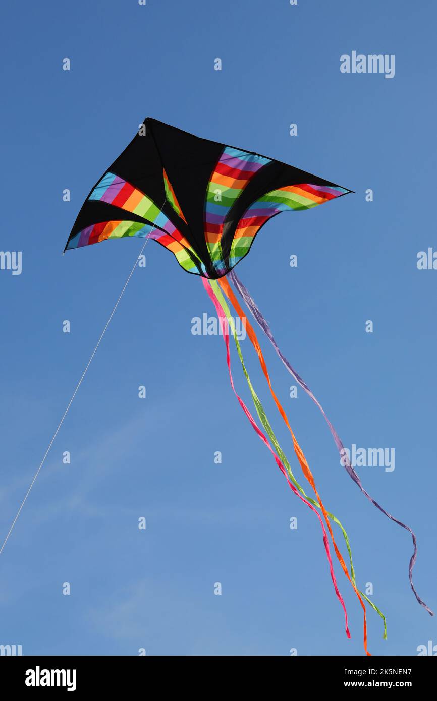 Large black kite with multicolored rainbow stripes flies high in the ...