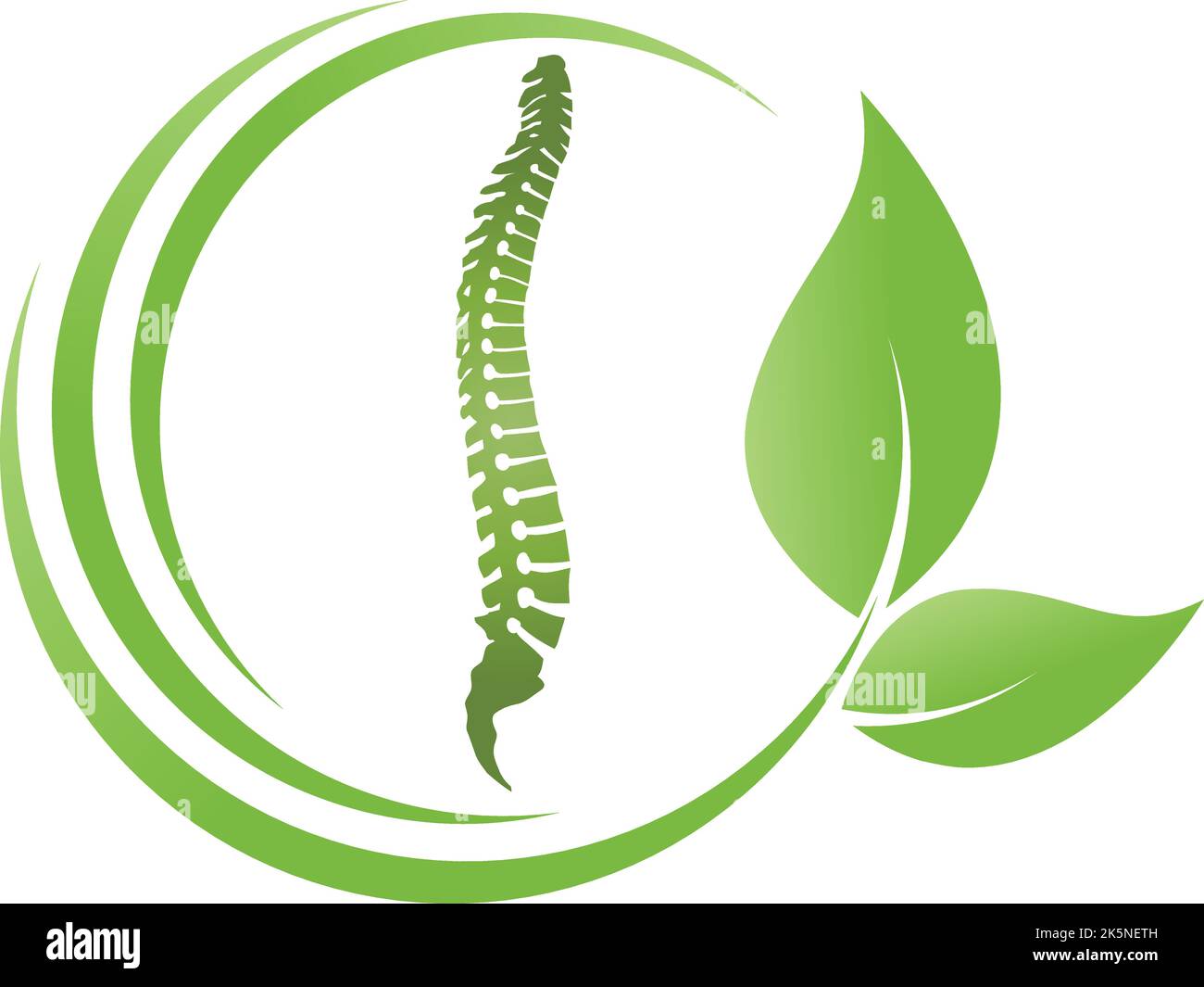 Orthopedic, physical therapy, massage, chiropractor logo Stock Vector ...