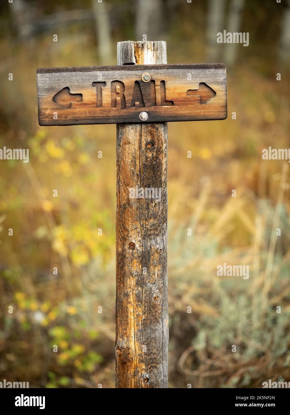 Sign made of wood with Trail carved in it Stock Photo - Alamy