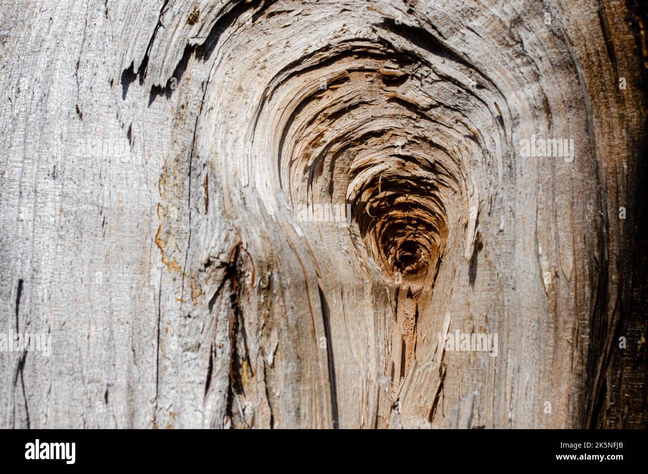 wooden background pattern for crafts or abstract art texture wooden ...