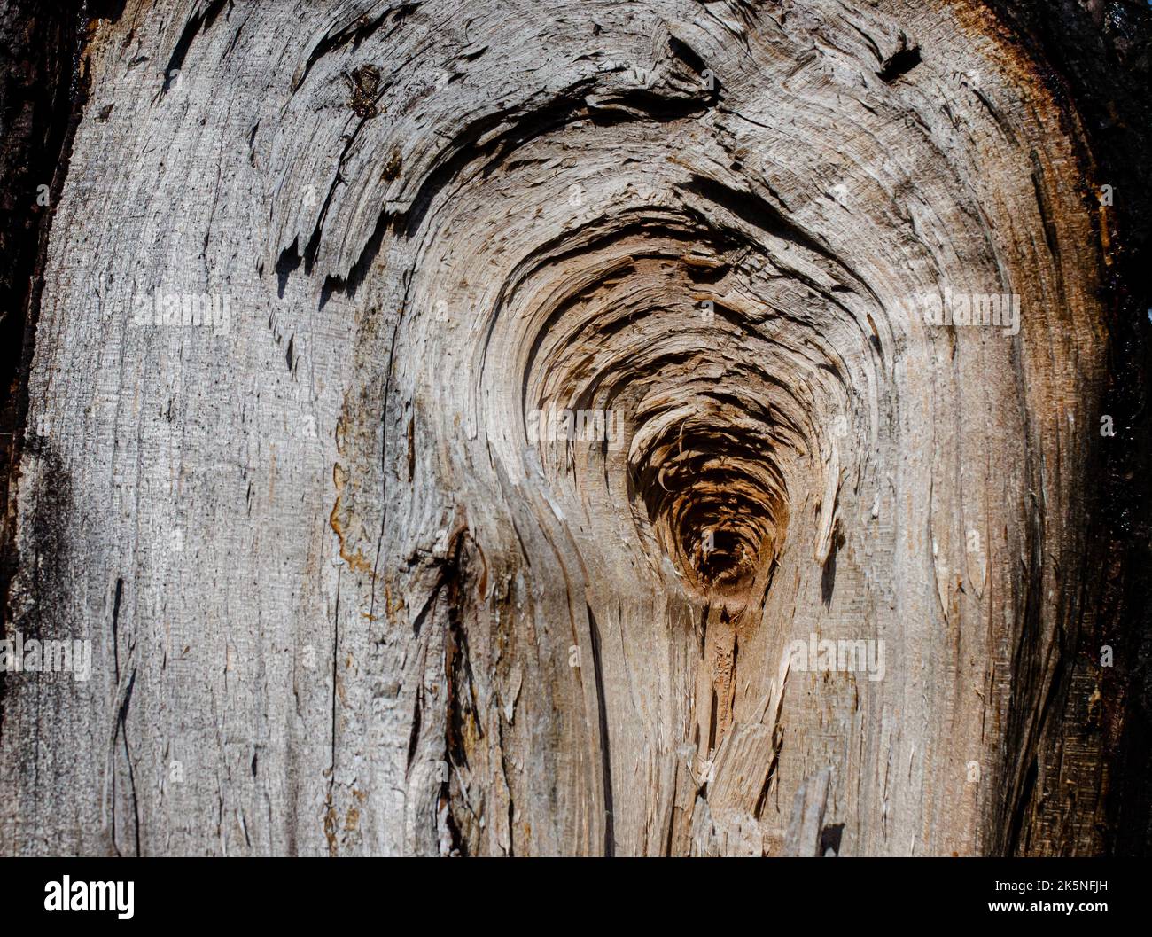 wooden background pattern for crafts or abstract art texture wooden ...