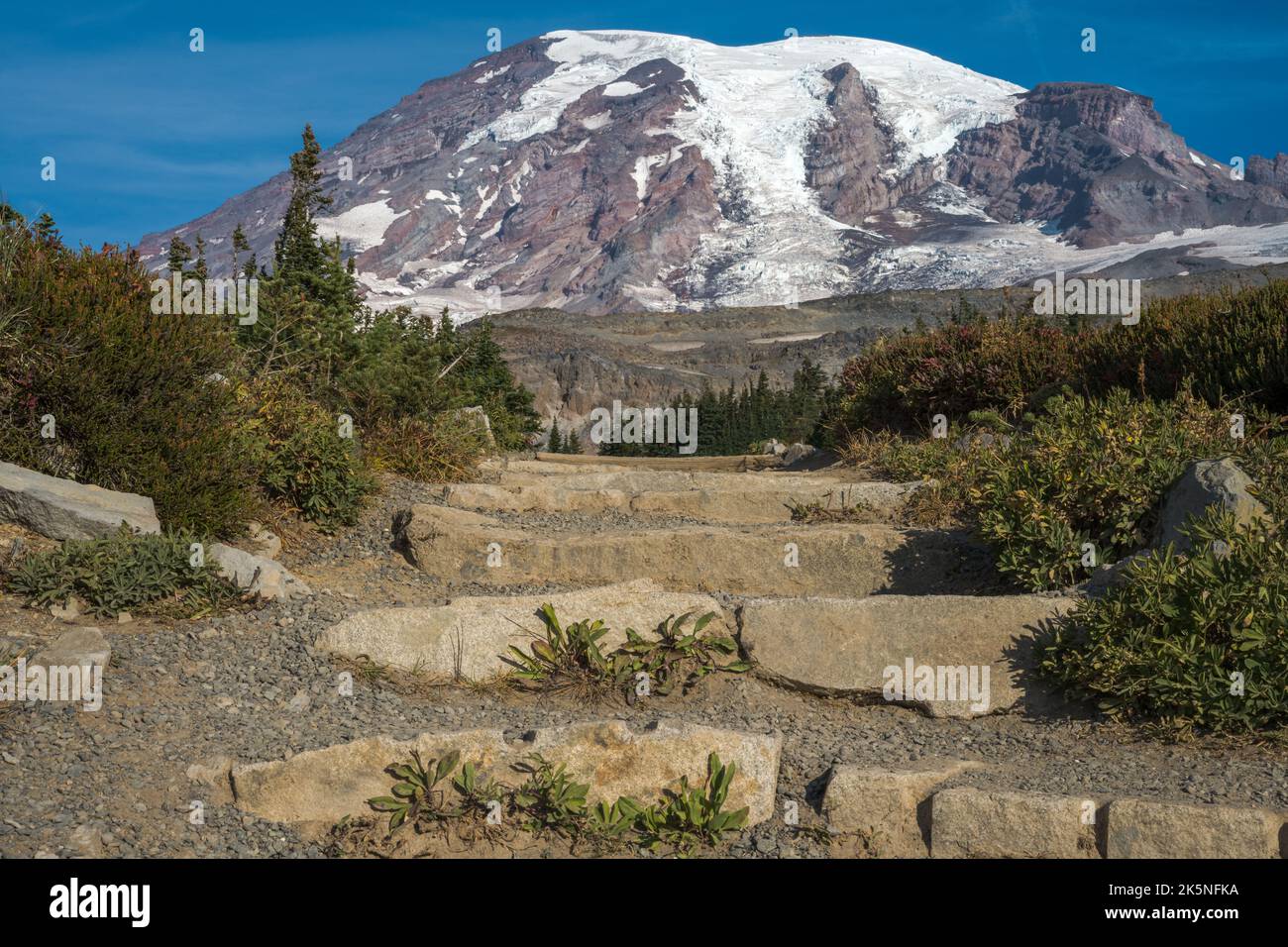 View of Mt Rainier Stock Photo - Alamy
